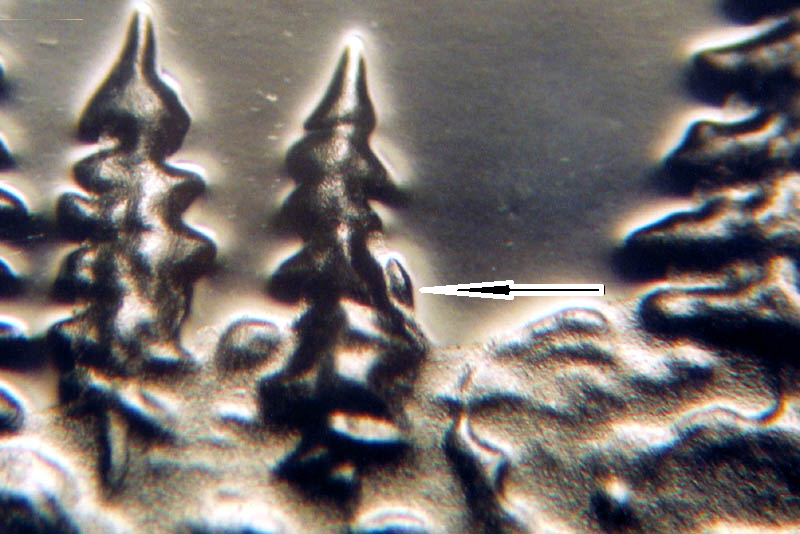 Extra Leaves and Trees: 2004-D, 2005 P-D-S Quarters | Proxiblog Coin ...